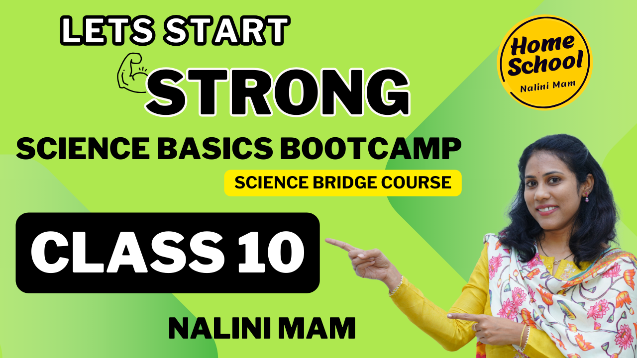 Science Basics Bootcamp | Class 10 Bridge Course 2026-27 | Nalini Home School